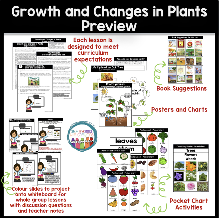 Growth and Changes in Plants - Grade 3 Science - Stop and Smell the Crayons