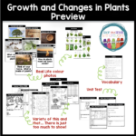 Growth and Changes in Plants - Grade 3 Science - Stop and Smell the Crayons
