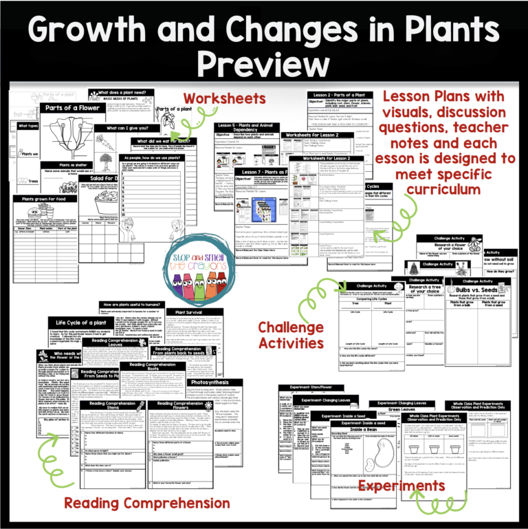 Growth and Changes in Plants - Grade 3 Science - Stop and Smell the Crayons