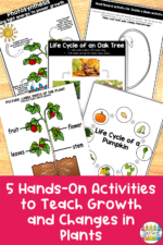 5 Hands-On Activities to Teach Growth and Changes in Plants - Stop and ...