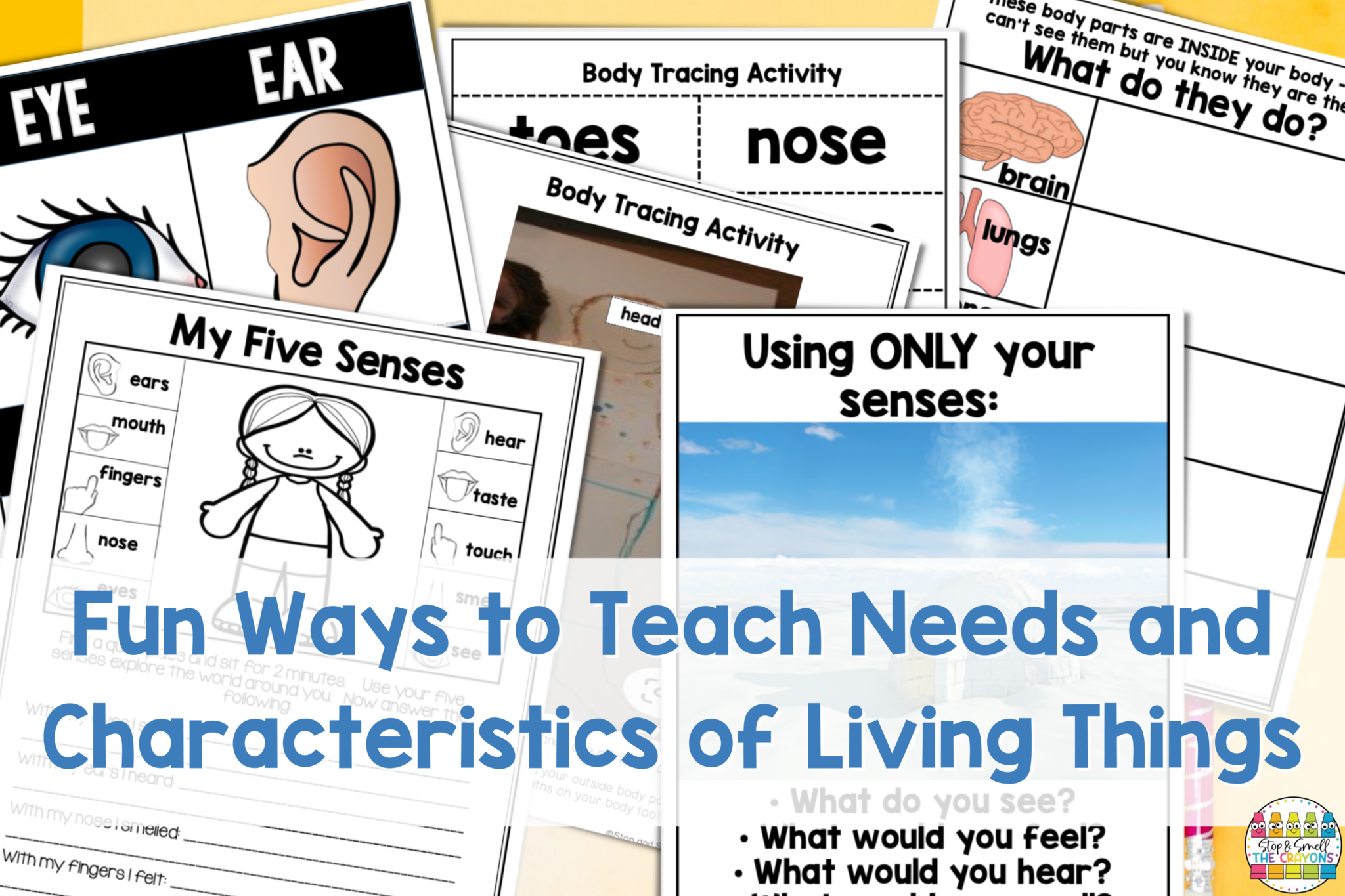 Fun Ways to Teach Needs and Characteristics of Living Things