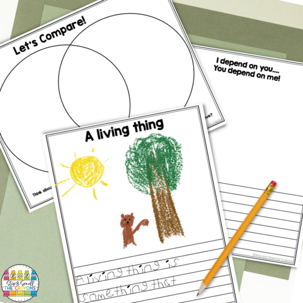 Fun Ways to Teach Needs and Characteristics of Living Things