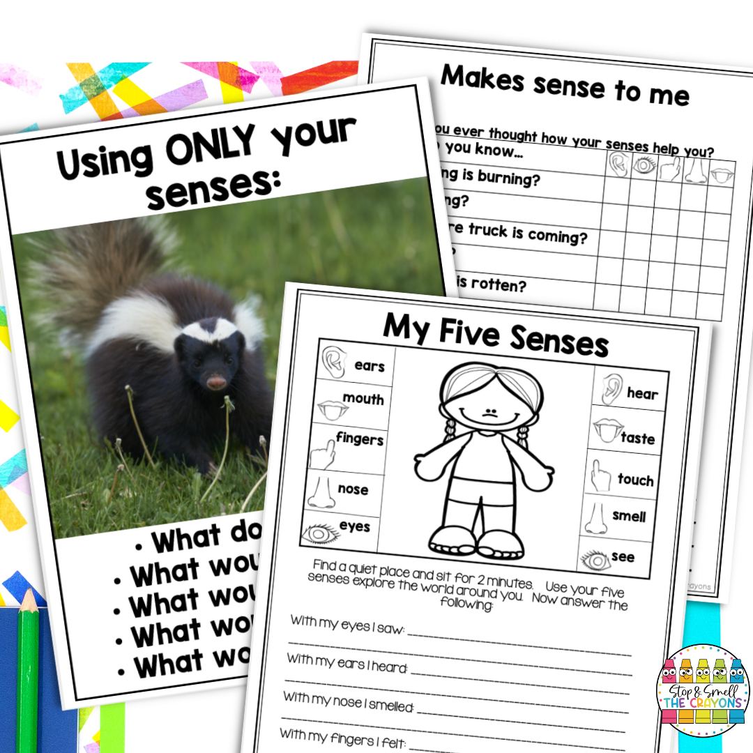 Fun Ways to Teach Needs and Characteristics of Living Things