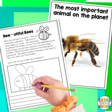 Fun Ways to Teach Needs and Characteristics of Living Things