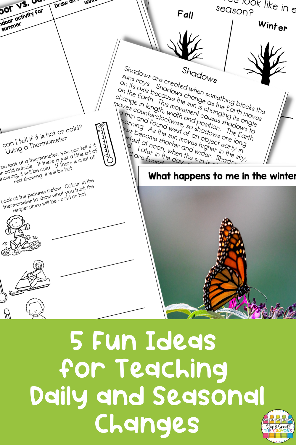 5 Fun Ideas for Teaching Daily and Seasonal Changes - Stop and Smell ...
