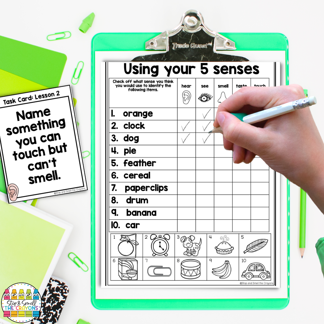 The Fascinating World of Materials Objects and Everday Structures