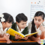 Novel Study Activities for the End the Year