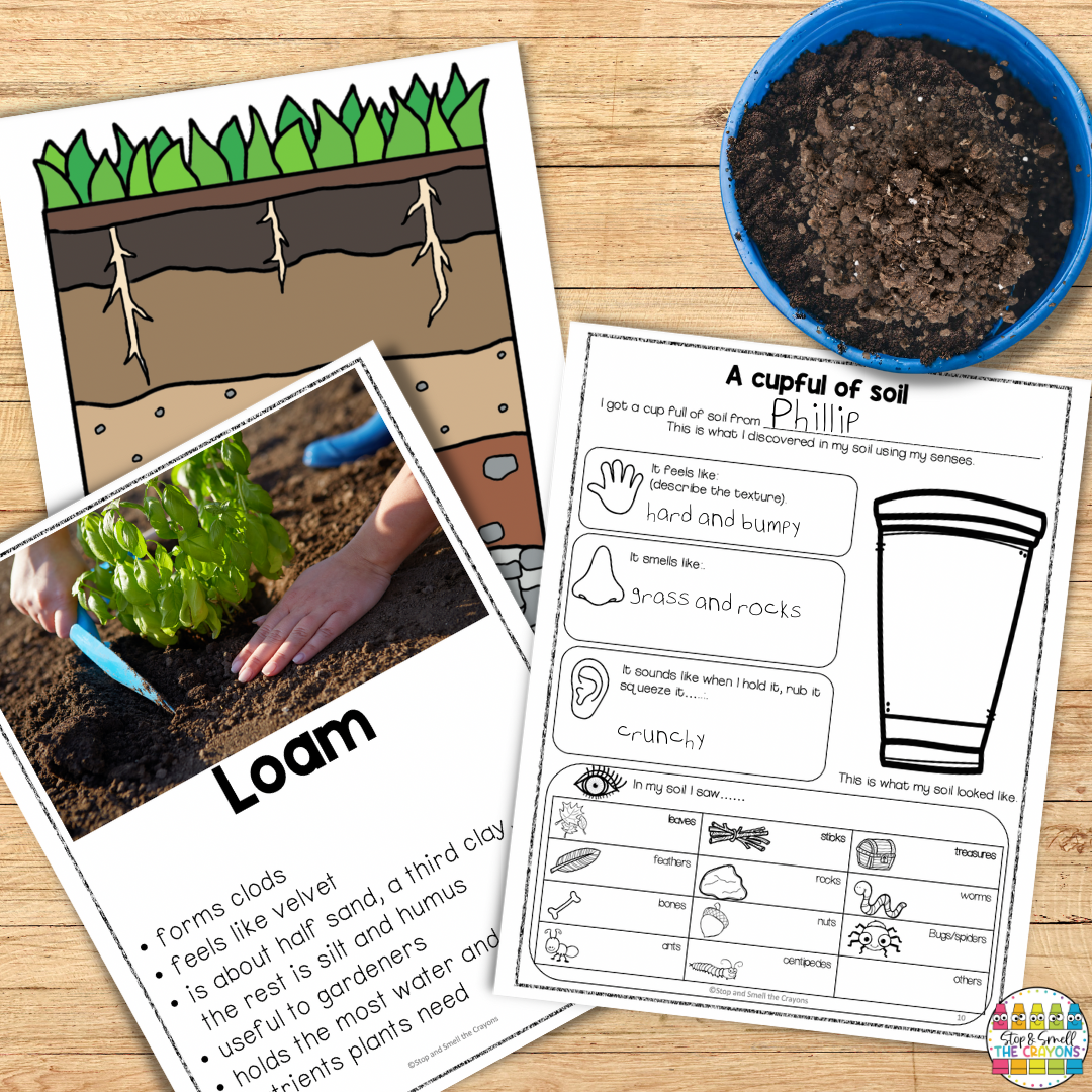 Fun STEM Curriculum Unleashed: Exciting STEMulating Science! - Stop and ...