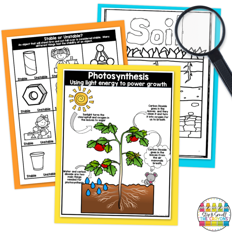 Diving into a Year of Exploration in Third Grade Science - Stop and ...